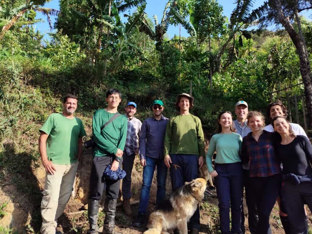 Exploring the Preservation and Regeneration of the Atlantic Forest ...
