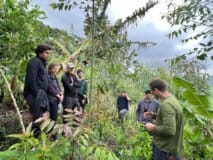 Exploring the Preservation and Regeneration of the Atlantic Forest ...