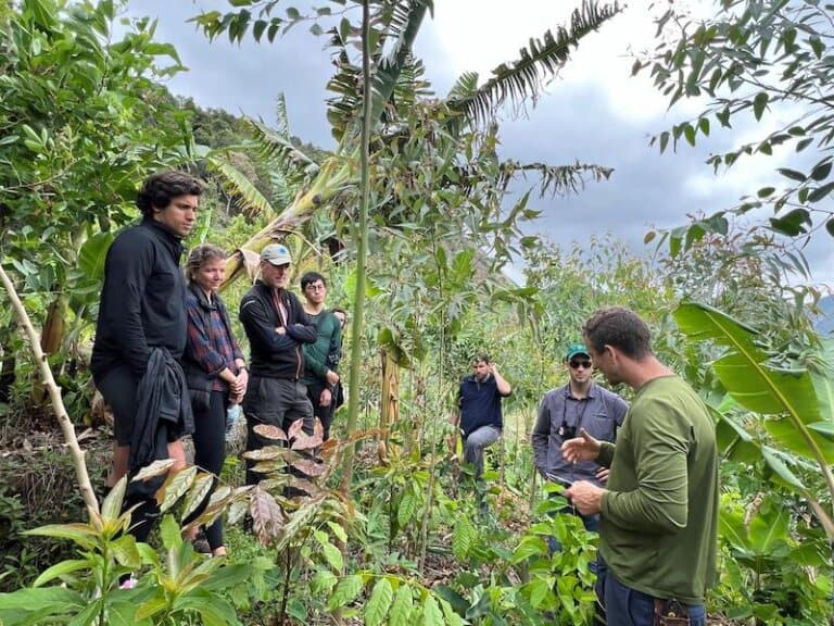 Exploring the Preservation and Regeneration of the Atlantic Forest ...